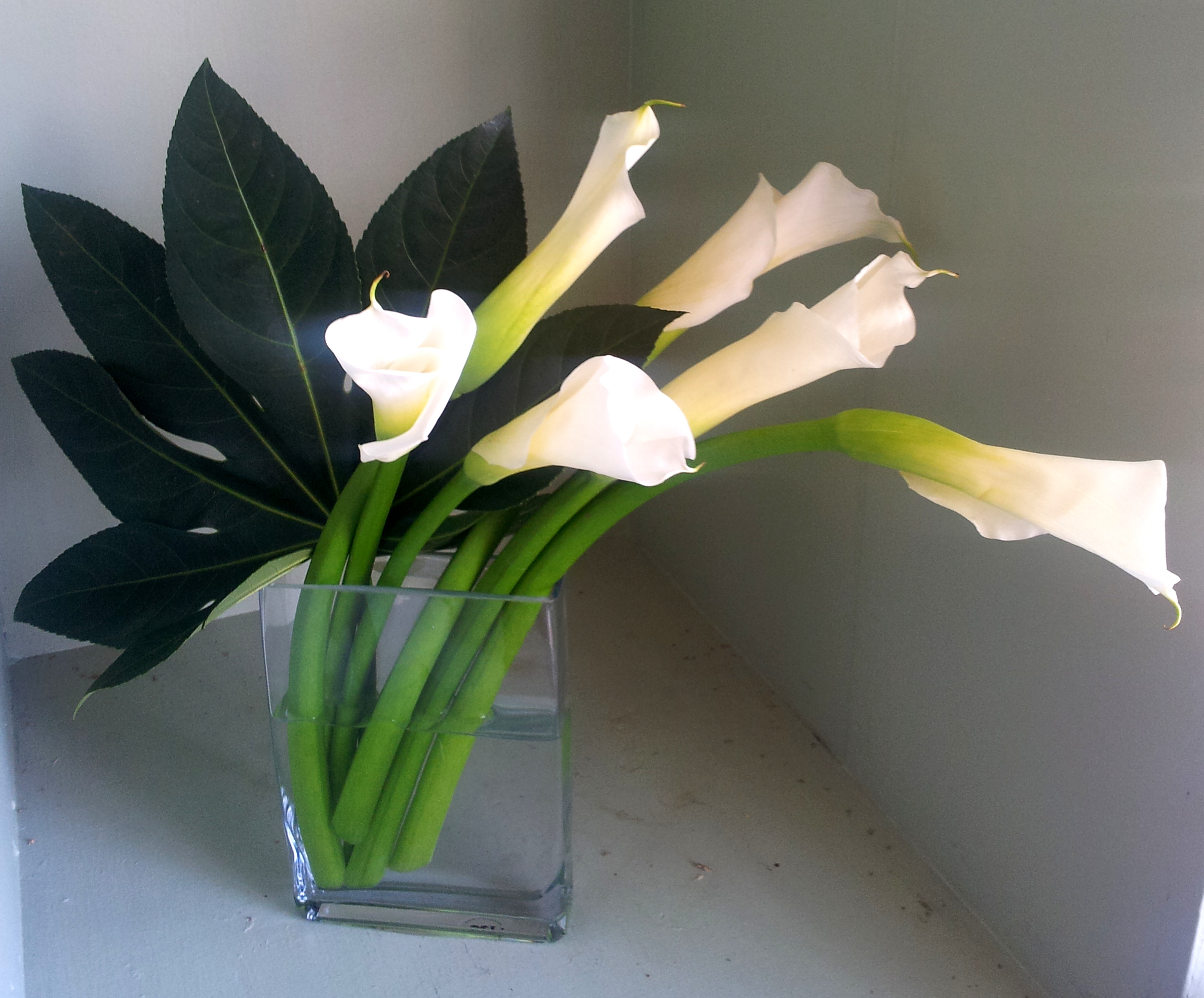 Grande Flowers' Classic Callas | Grande Flowers
