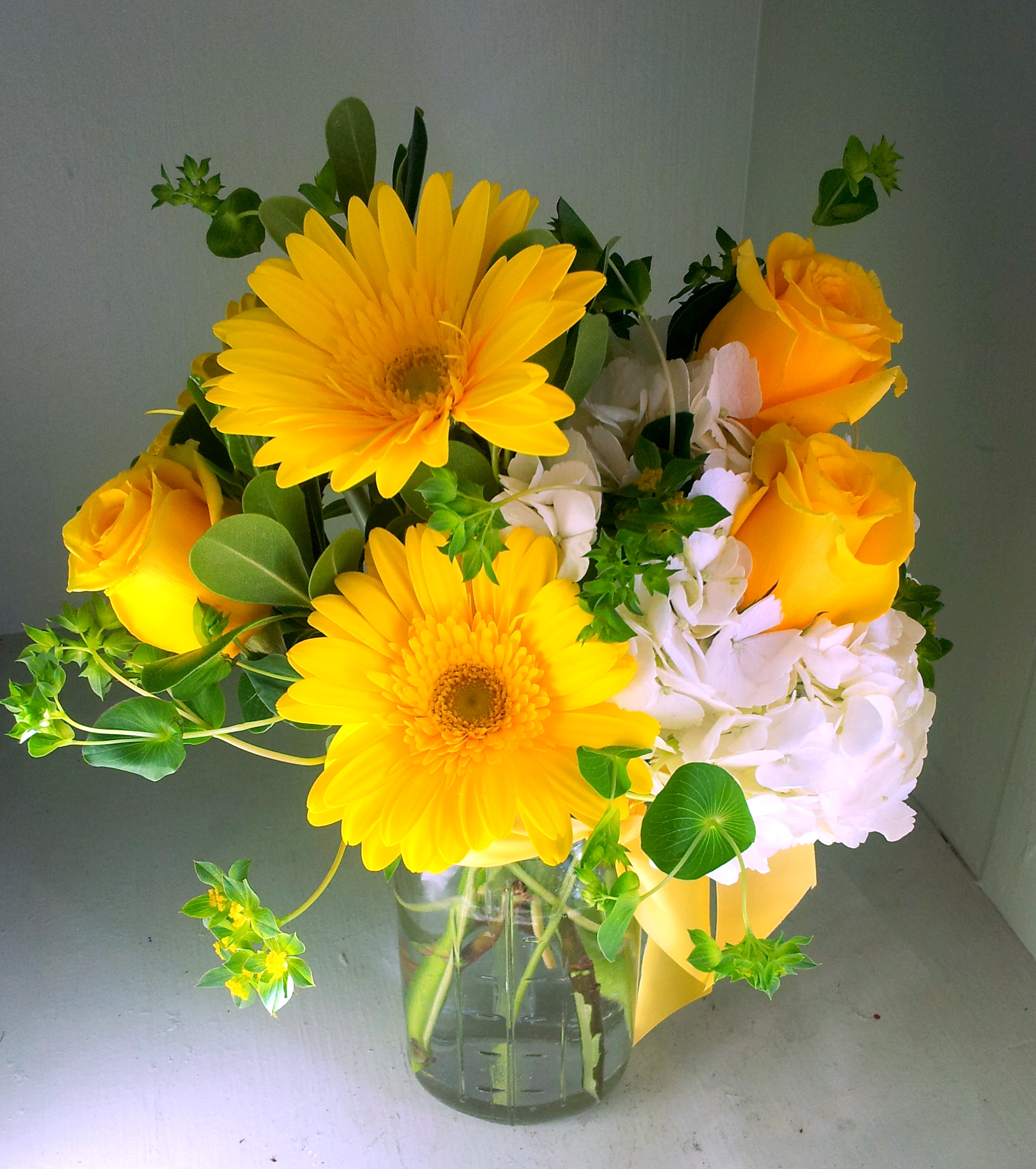 Grand Flowers Novi at Abigail Mathy blog